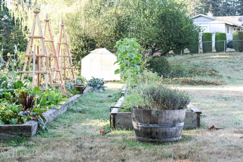 How to Make a French Tuteur For your Garden - She Holds Dearly