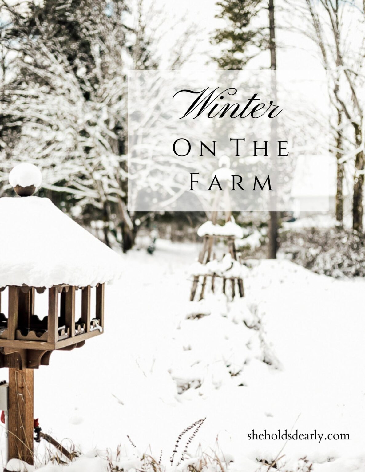 How We Celebrate Winter on the Farm - She Holds Dearly