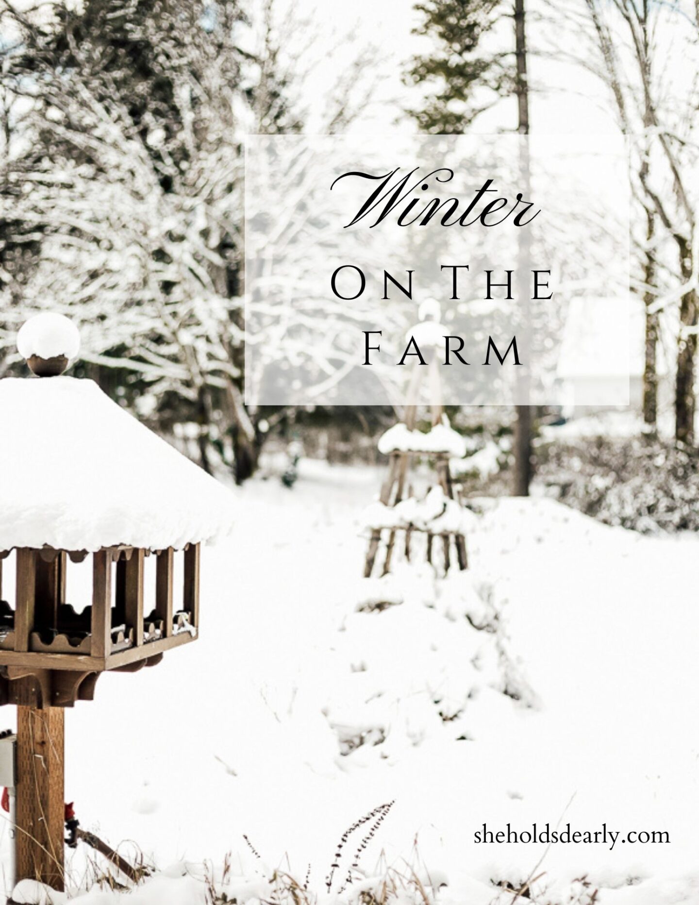 How We Celebrate Winter on the Farm - She Holds Dearly