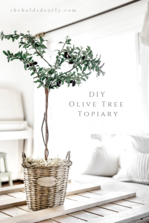 How to Make an Easy Olive Tree Topiary - She Holds Dearly