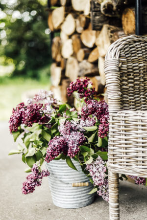 How to Create a Lasting Fresh Cut Lilac Bouquet - She Holds Dearly
