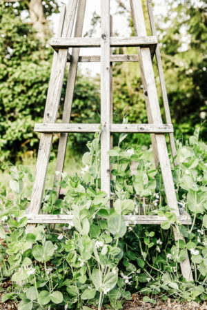 Spring on the Farm - She Holds Dearly