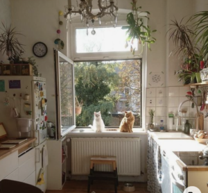 All About the New Cottagecore Design Style - She Holds Dearly