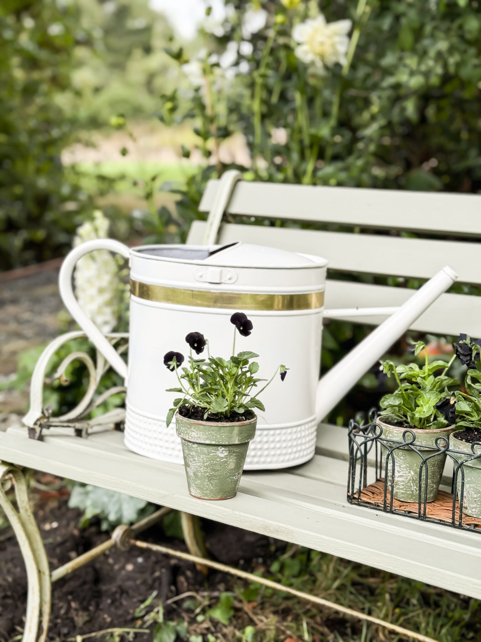 How to Makeover a Rusty Watering Can - She Holds Dearly