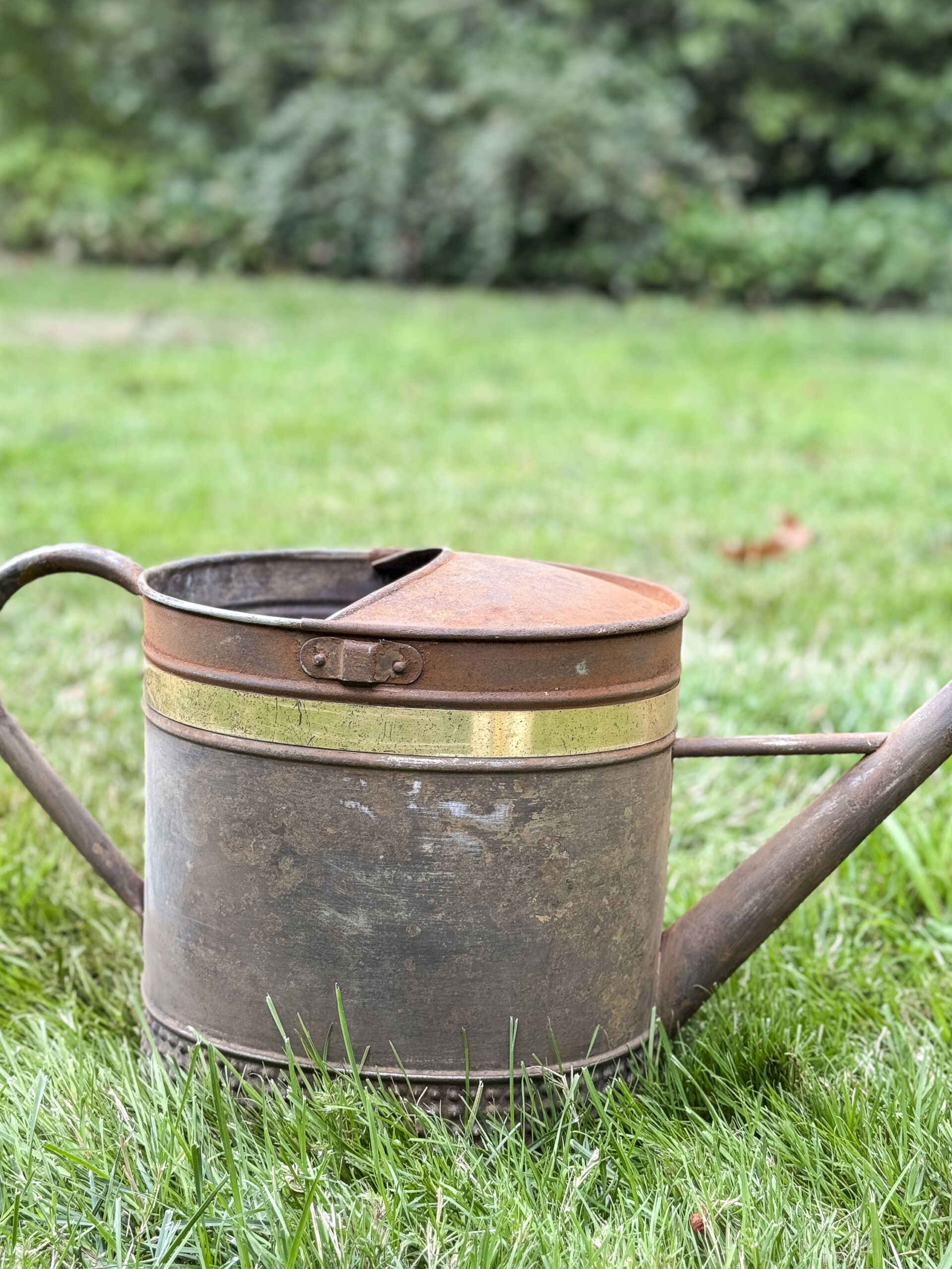 How to Makeover a Rusty Watering Can - She Holds Dearly