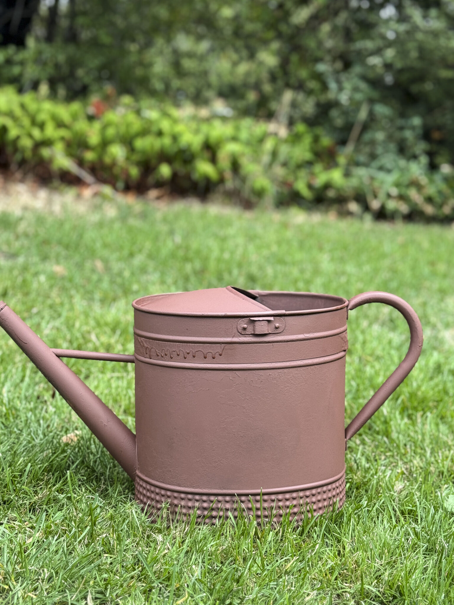 How to Makeover a Rusty Watering Can - She Holds Dearly